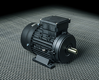 Electric Motor - Nordic Bulk